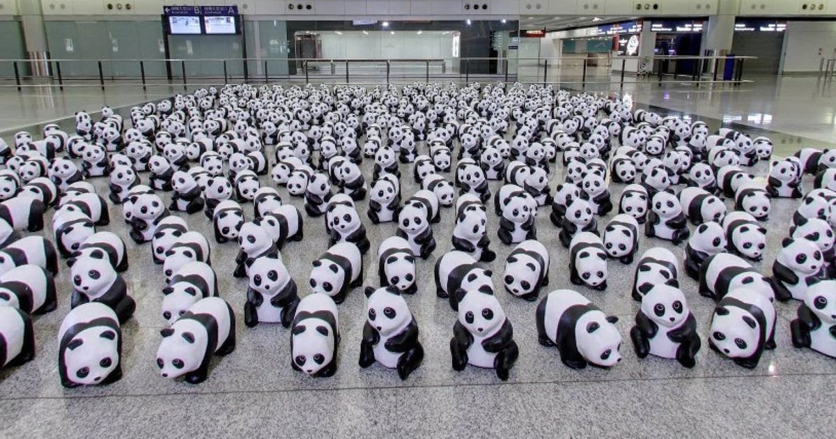 Google Maps Is Full Of Pandas! | HuffPost UK Tech