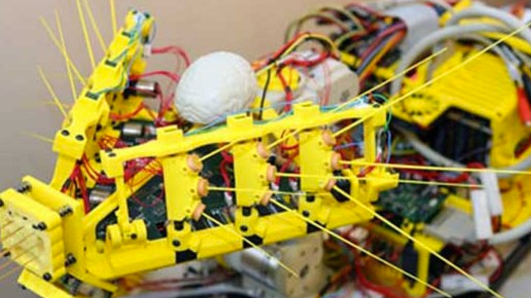 This Is Why Your First Robot Butler Will Probably Have Whiskers ...