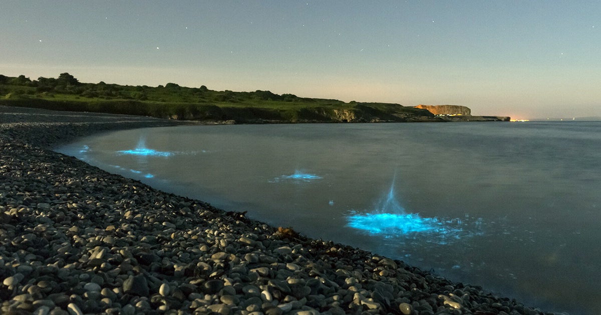 Stunning Pictures Of 'Lightning' In The Water At Anglesey | HuffPost UK ...