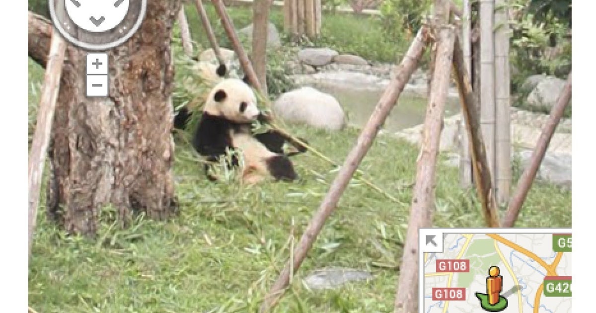 Google Street View Adds Images From The World's Zoos | HuffPost UK Tech