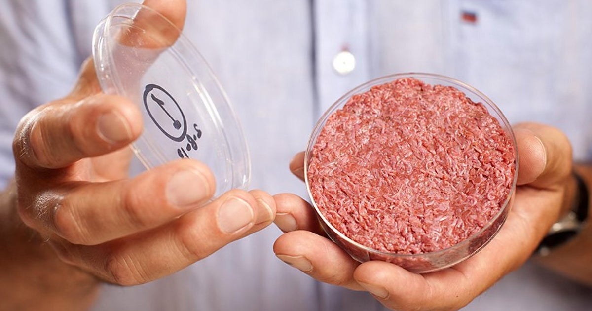 Designing the Recipe for the New Meat: Tissue Engineered Muscle ...