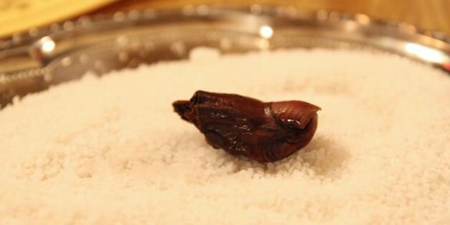 Drinker Fined $500 After Deliberately Swallowing Severed Human Toe In ...