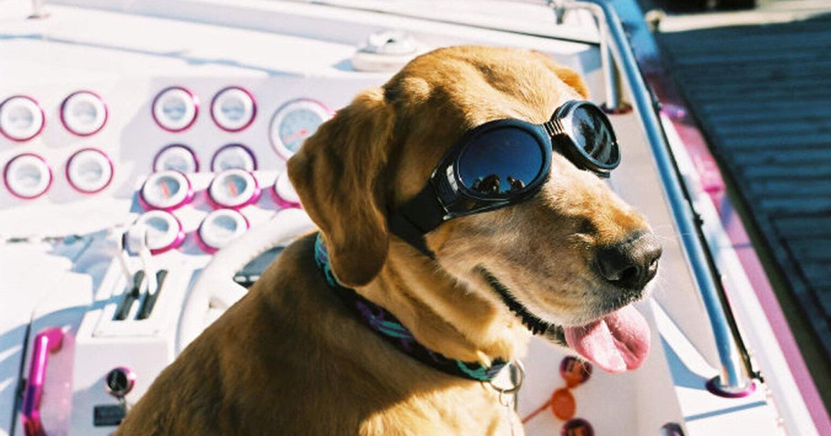 8 Odd But Successful Business Ideas | HuffPost UK News