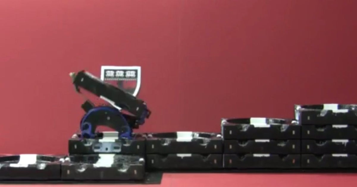 Termes Robotic Construction Crew Can Self Organise To Build Structures