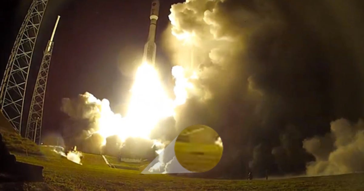 Armadillo Photobombs Space Rocket Launch Days After Frogstronaut ...