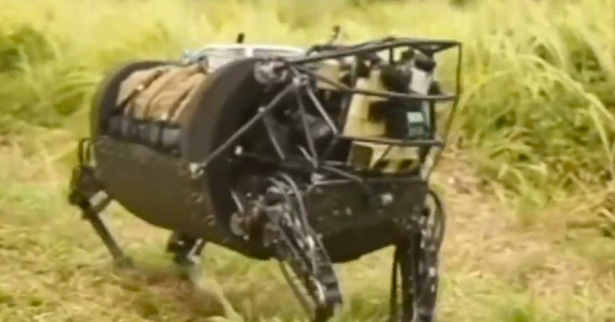 'Cujo' Robot Mule Starts Life Of Willing Servitude With US Marines ...