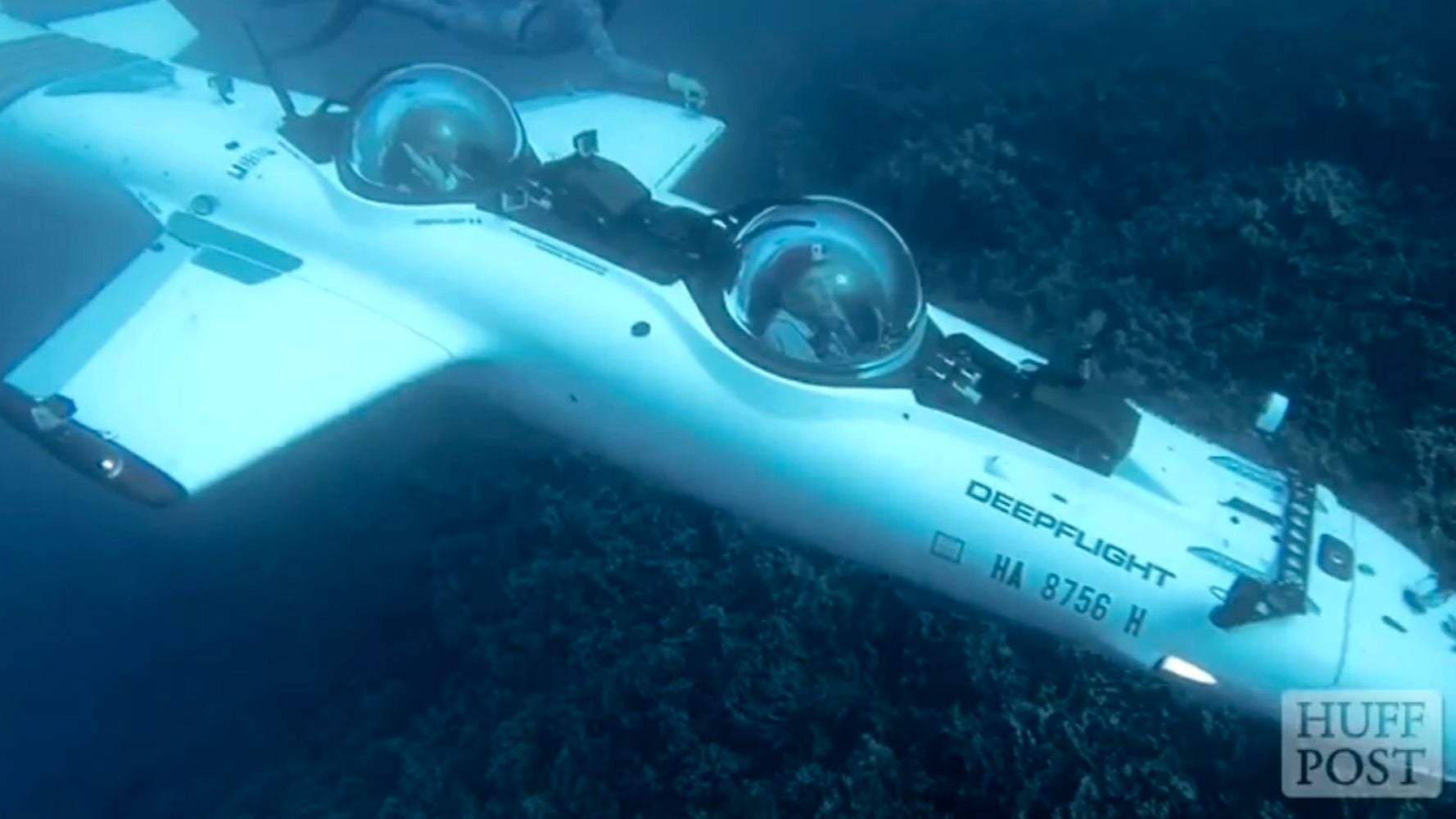 DeepFlight Super Falcon Submarine 'Flies' Beneath The Sea | HuffPost UK ...