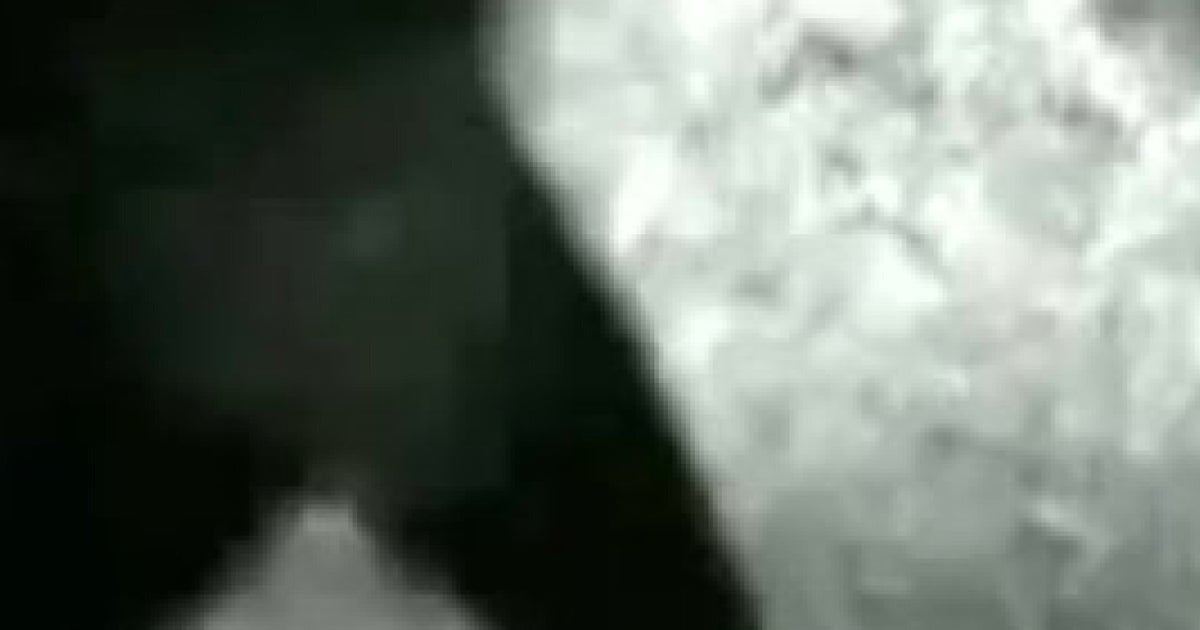 'Werewolf Footage Sparks Night-Time Curfew For Terrified Brazilian ...