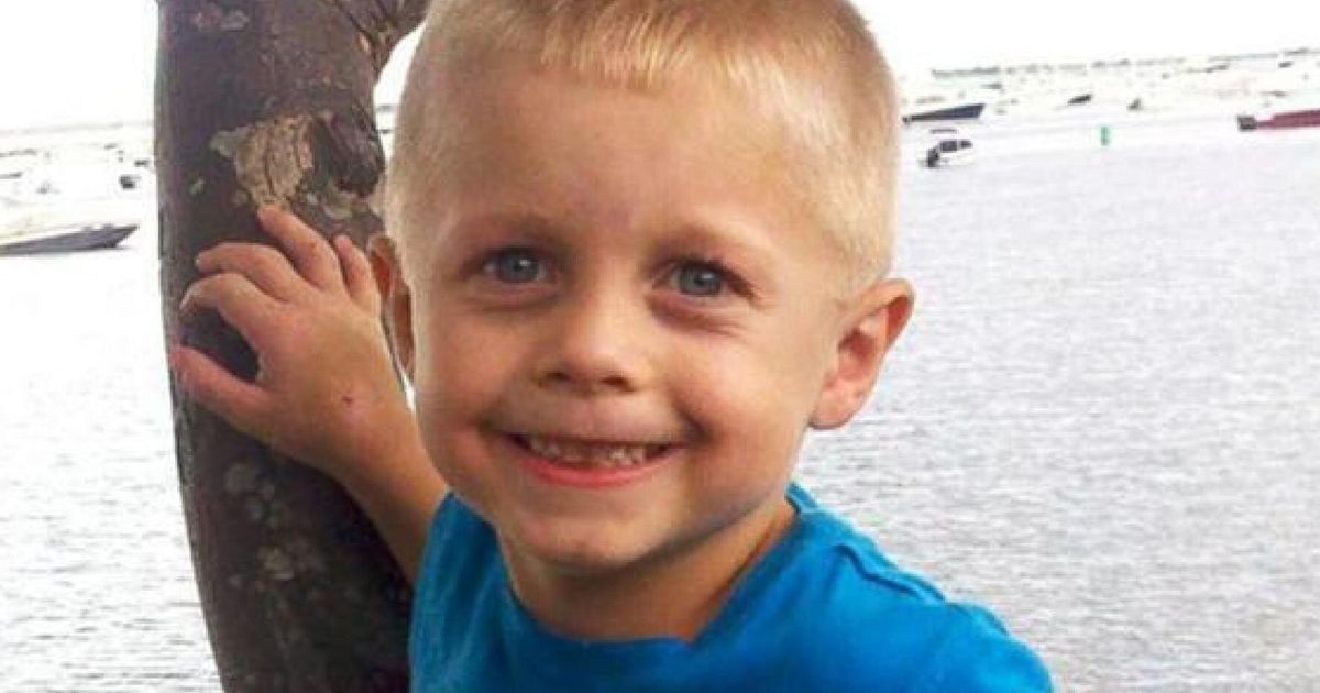 Terminally Ill Boy Danny Nickerson Just Wants You To Send Him A terminally-ill-boy-danny-nickerson-just-wants-you-to-send-him-a