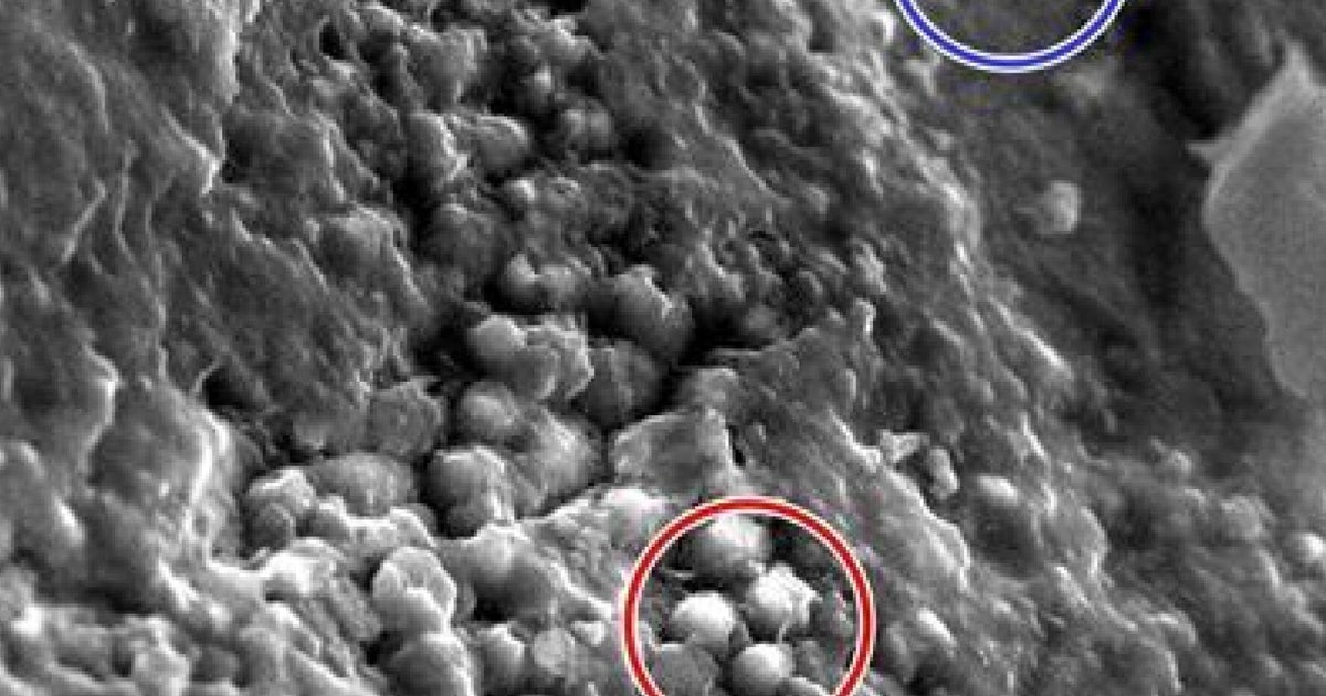 Mars Meteorite's Strange 'Tunnels' And 'Spheres' Reignite Debate About ...