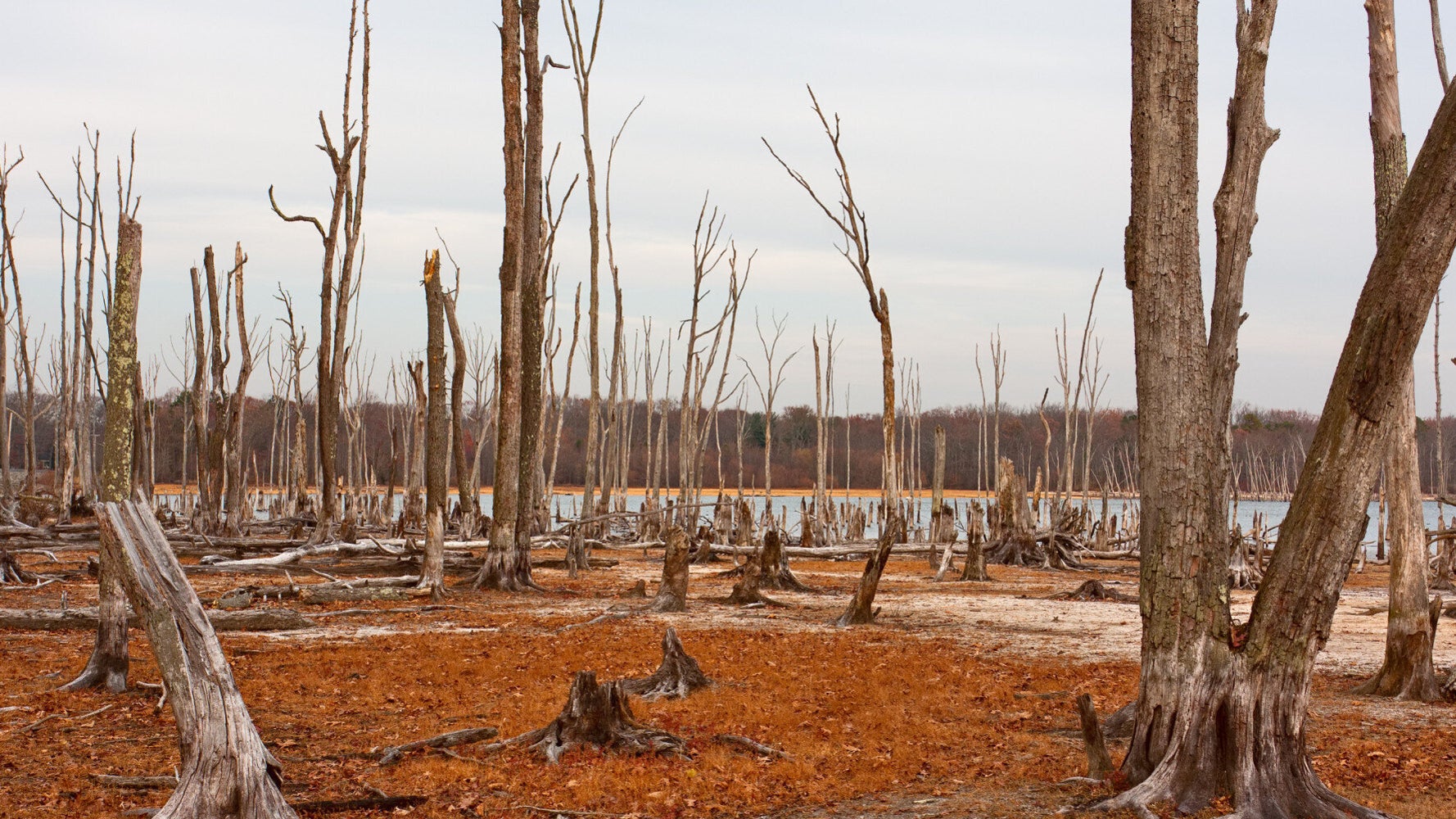 Climate Change: Tropical Ecosystems And Economies Will Be Devastated ...