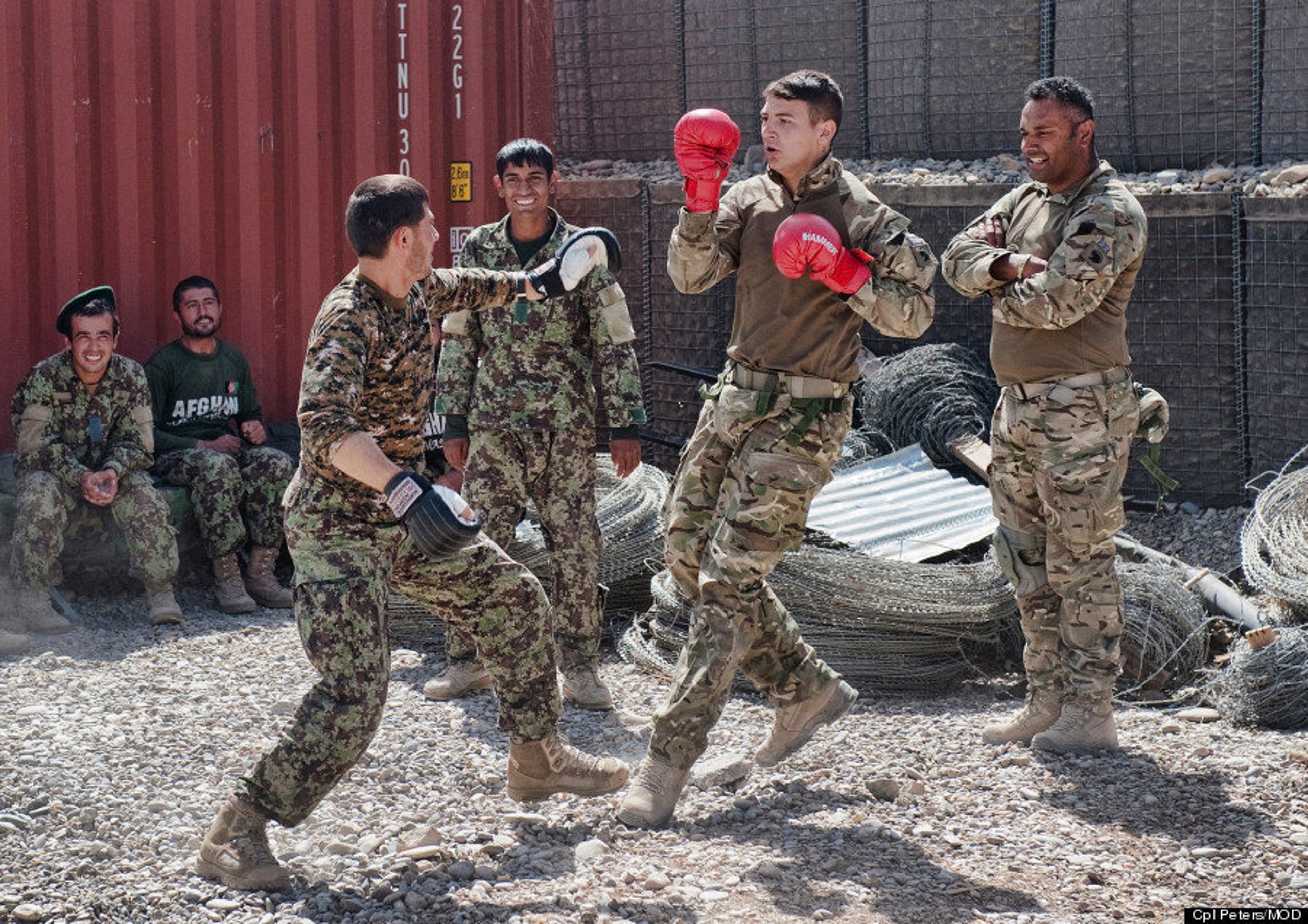 Army Photographic Competition 2013: Images Show 'The Lighter Side' Of ...