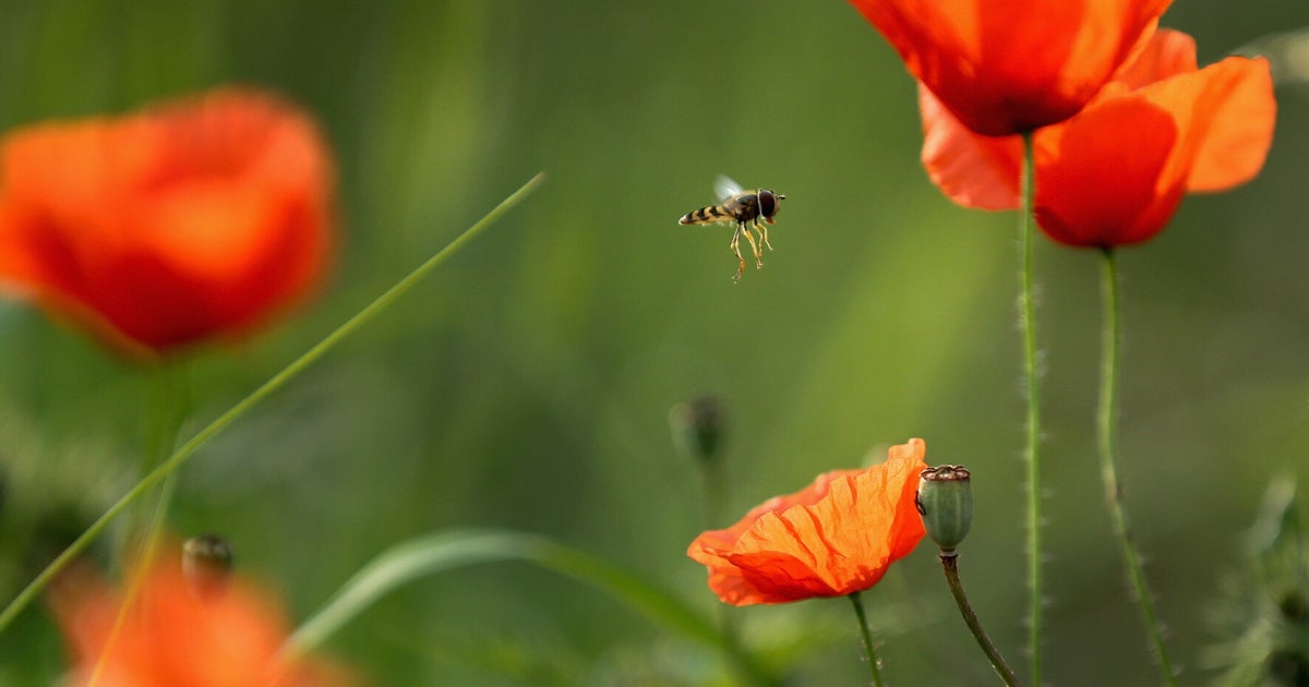 The Seminal Event in Modern Times Is Passing Into the Shadows of ...