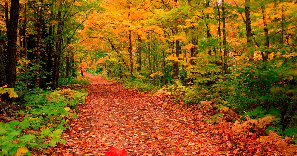 Top 10 Best Cities for Golden Autumn Travel | HuffPost UK Life