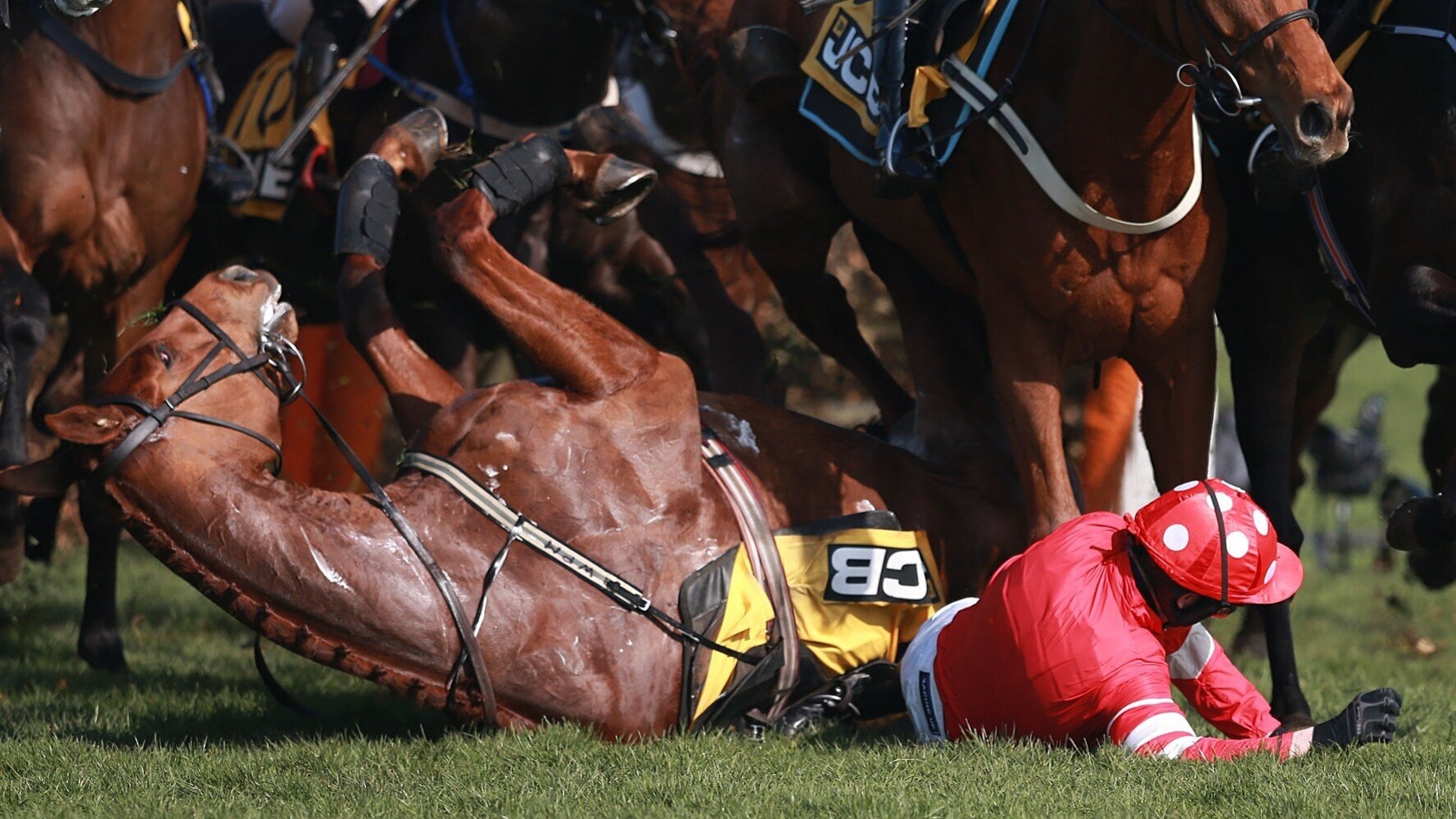 Cheltenham Races: Ruby Walsh Out Of Festival With Broken Arm (PICTURES ...