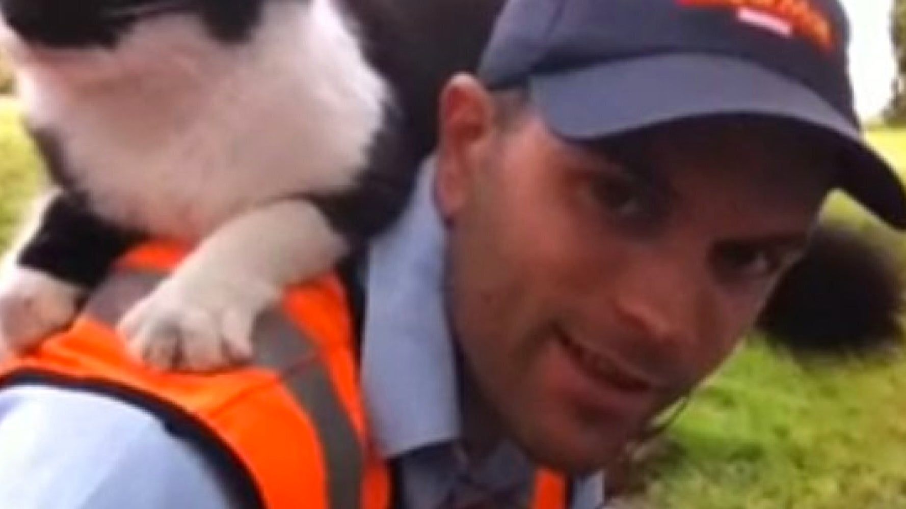 A Real-Life Postman Pat And His Black And White Cat (VIDEO) | HuffPost ...