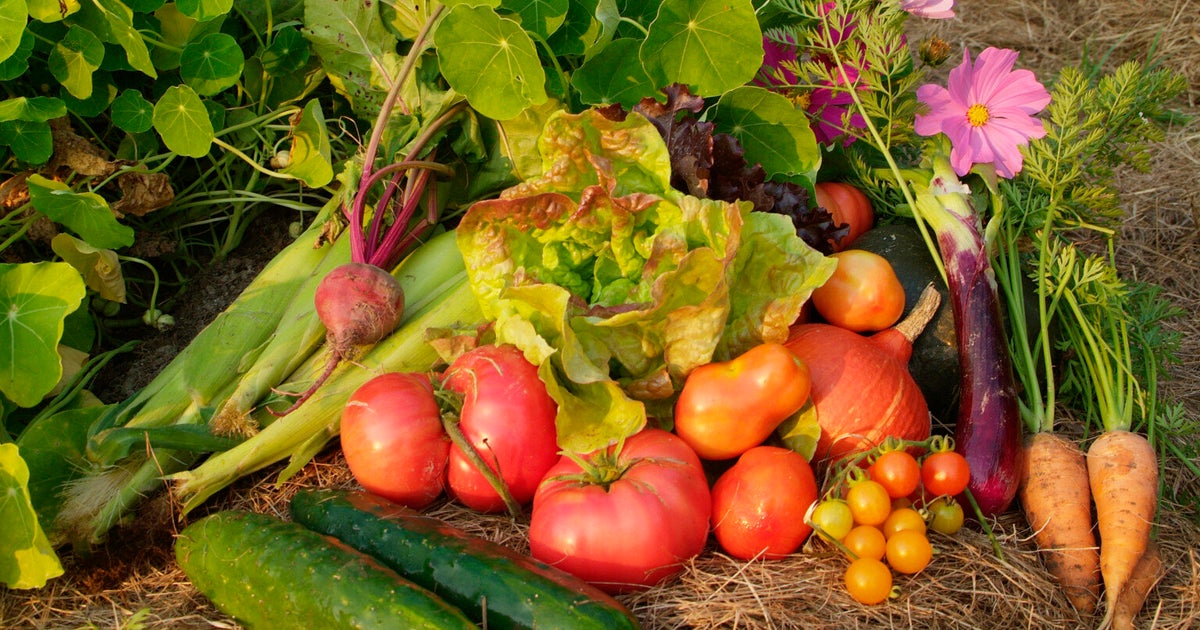 A Fascination With Real Food | HuffPost UK Life