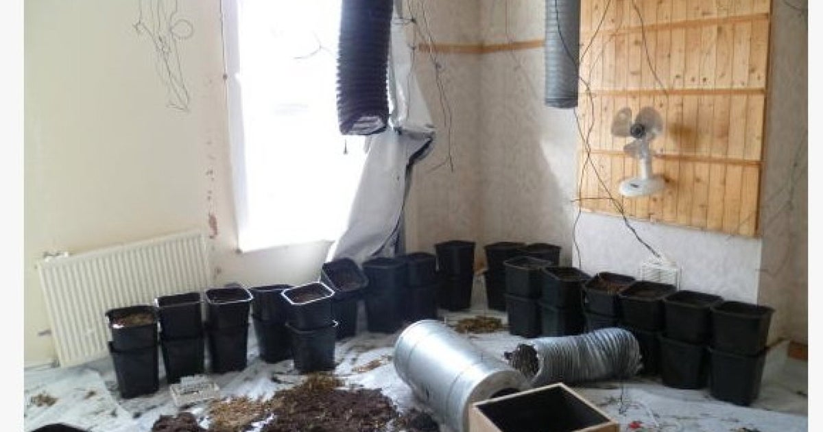 Cannabis Growing Equipment Clearly Shown In Bristol House Property ...