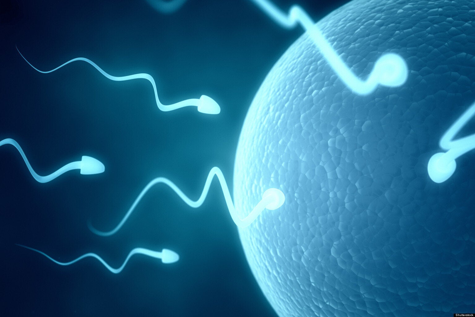 10 Things You Need To Know Before You Test Your Sperm Count HuffPost 10 Things You Need To Know Before You Test Your Sperm Count HuffPost