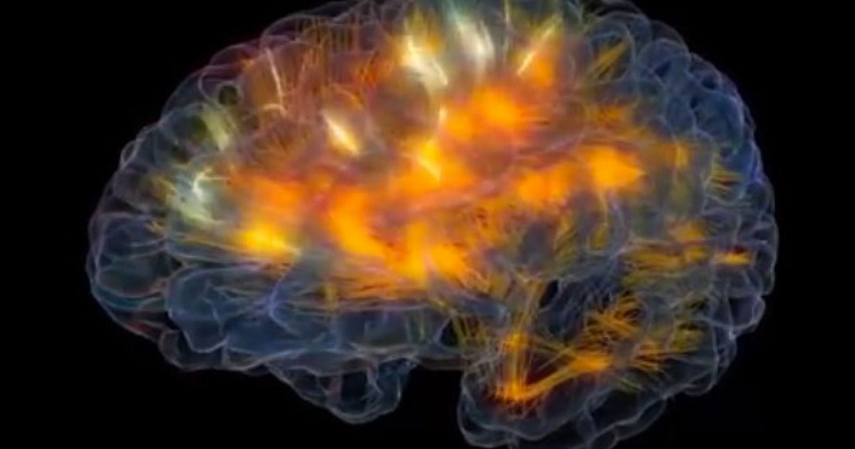 'Glass Brain' Visualisation Lets You Fly Right Into Your Thoughts ...