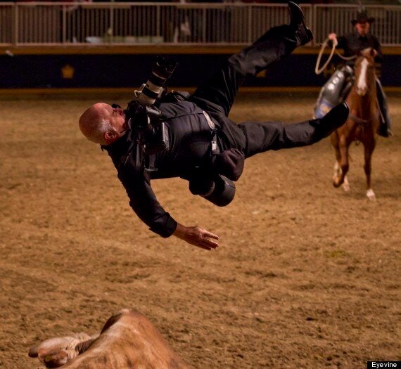Rodeo Photographer Sent Flying By Rampaging Bull In Toronto (PICTURES ...