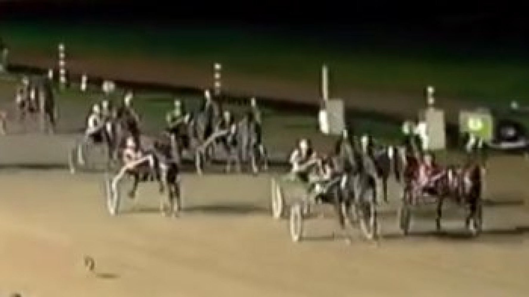 Rabbit Wins Netherlands Horse Race (VIDEO) | HuffPost UK Sport