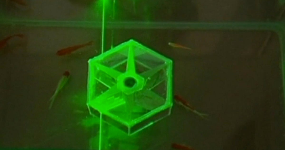 Chinese 'Invisibility Cloak' Can Turn Fish Invisible | HuffPost UK Tech