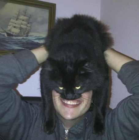 How To Look Like Batman, Using Your Cat (PICTURES) | HuffPost UK