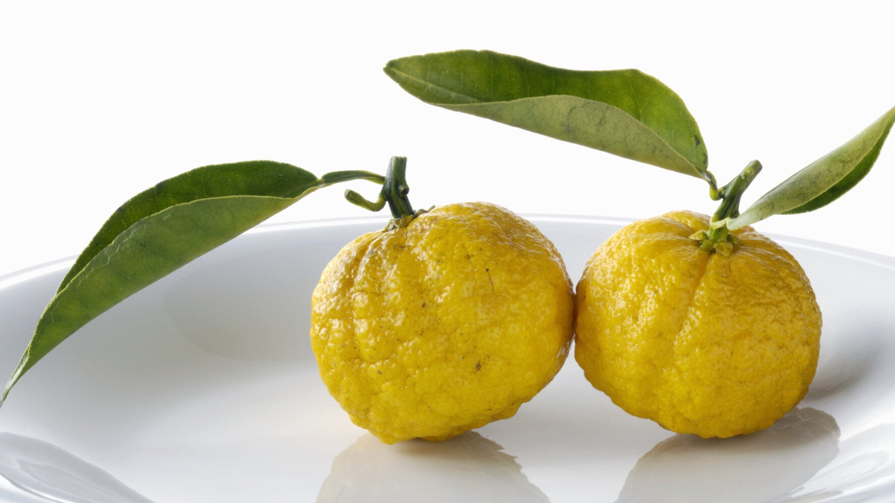 Meet Yuzu, The Amazing Superfood That Has Three Times The Vitamin C Of ...