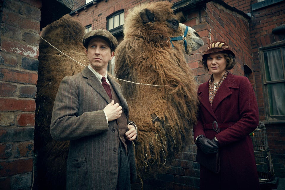 'Our Zoo' BBC Drama Draws Complaints From Animal Defenders ...