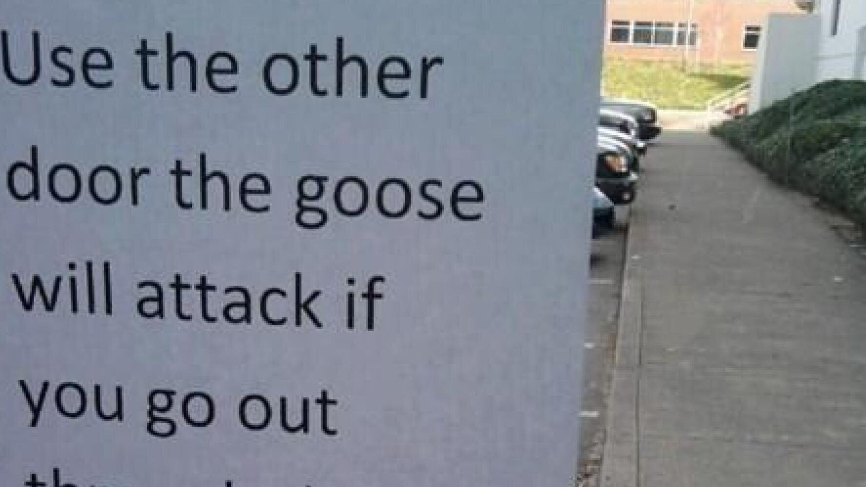 Beware Of The Goose: Twitter Spits Out The Best Sign Ever (PICTURE ...