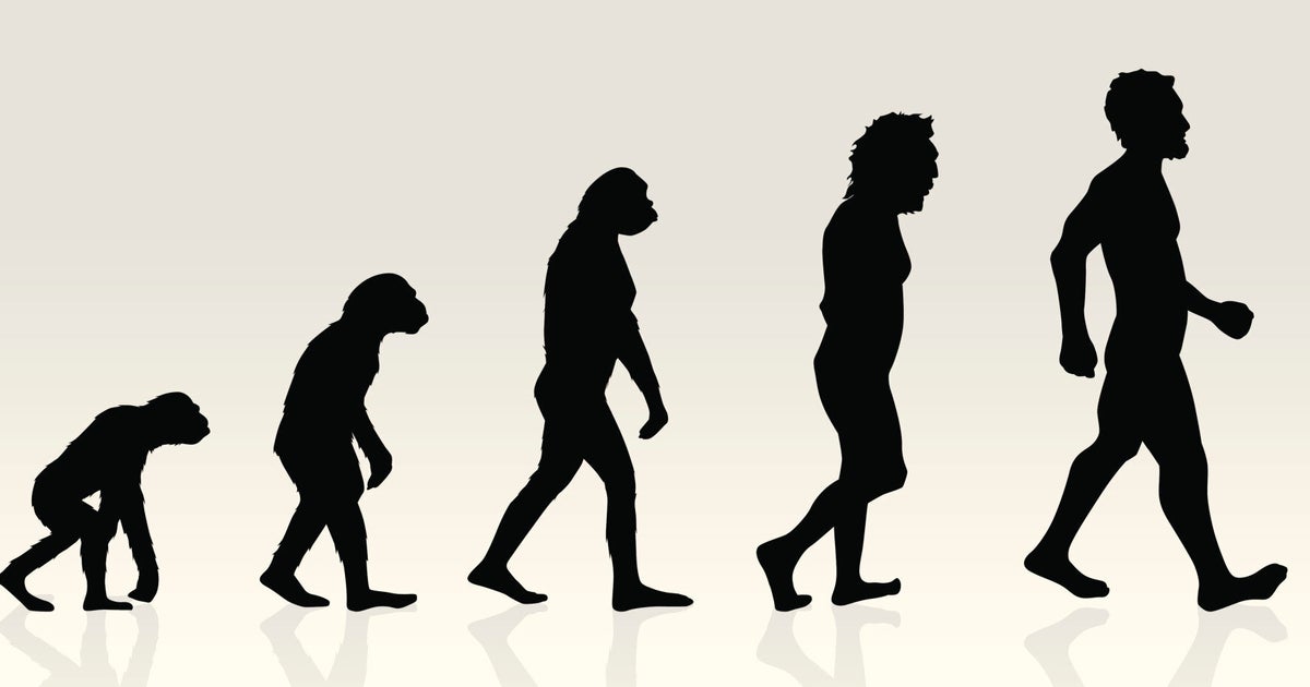 Neanderthal Viruses Found In Human DNA Prompt Scientists To Explore ...