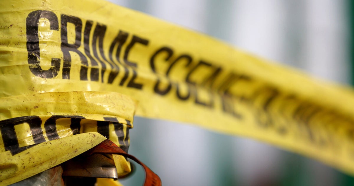 Man's Dismembered Body Found In Dagenham Lake, Amid Search For Missing ...
