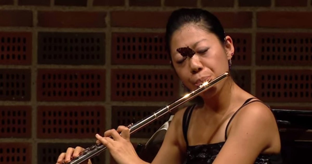 Butterfly Lands On Flautist's Face During Concert Performance - And She ...