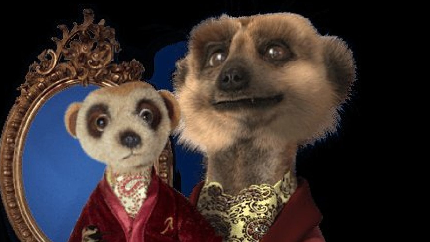 Compare The Meerkat Toy Is Not Proof Of Car Insurance, Police Inform ...