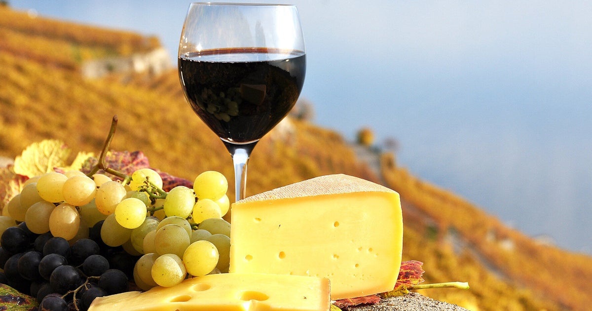 A Wine for World Malbec Day - Trapiche Pure Malbec | HuffPost UK Life