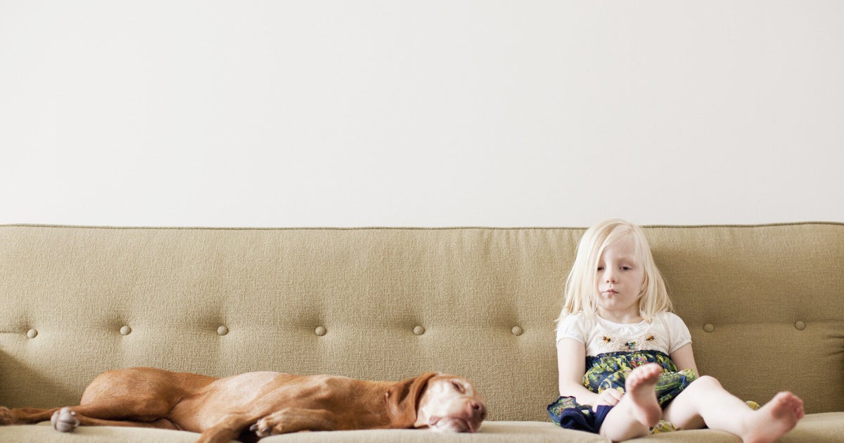 Paws for Reflection Before Jerking the Knee | HuffPost UK Life