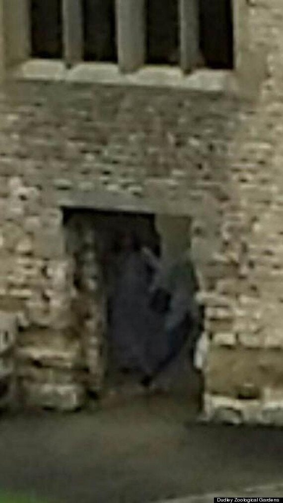 'Ghost' Of Grey Lady Photographed For The First Time At Dudley Castle ...