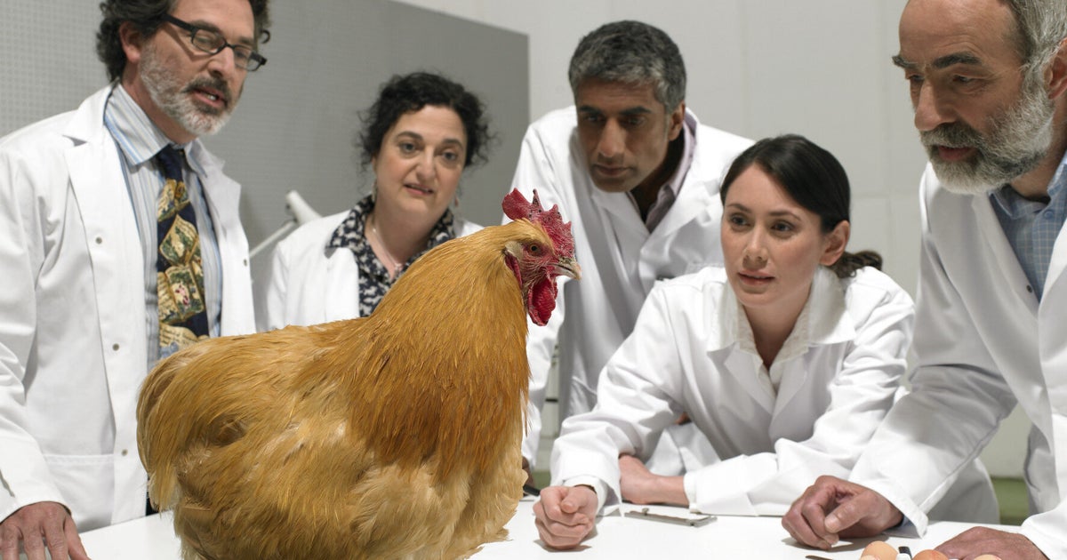 10 Mysteries Science Can't Currently Explain | HuffPost UK Tech