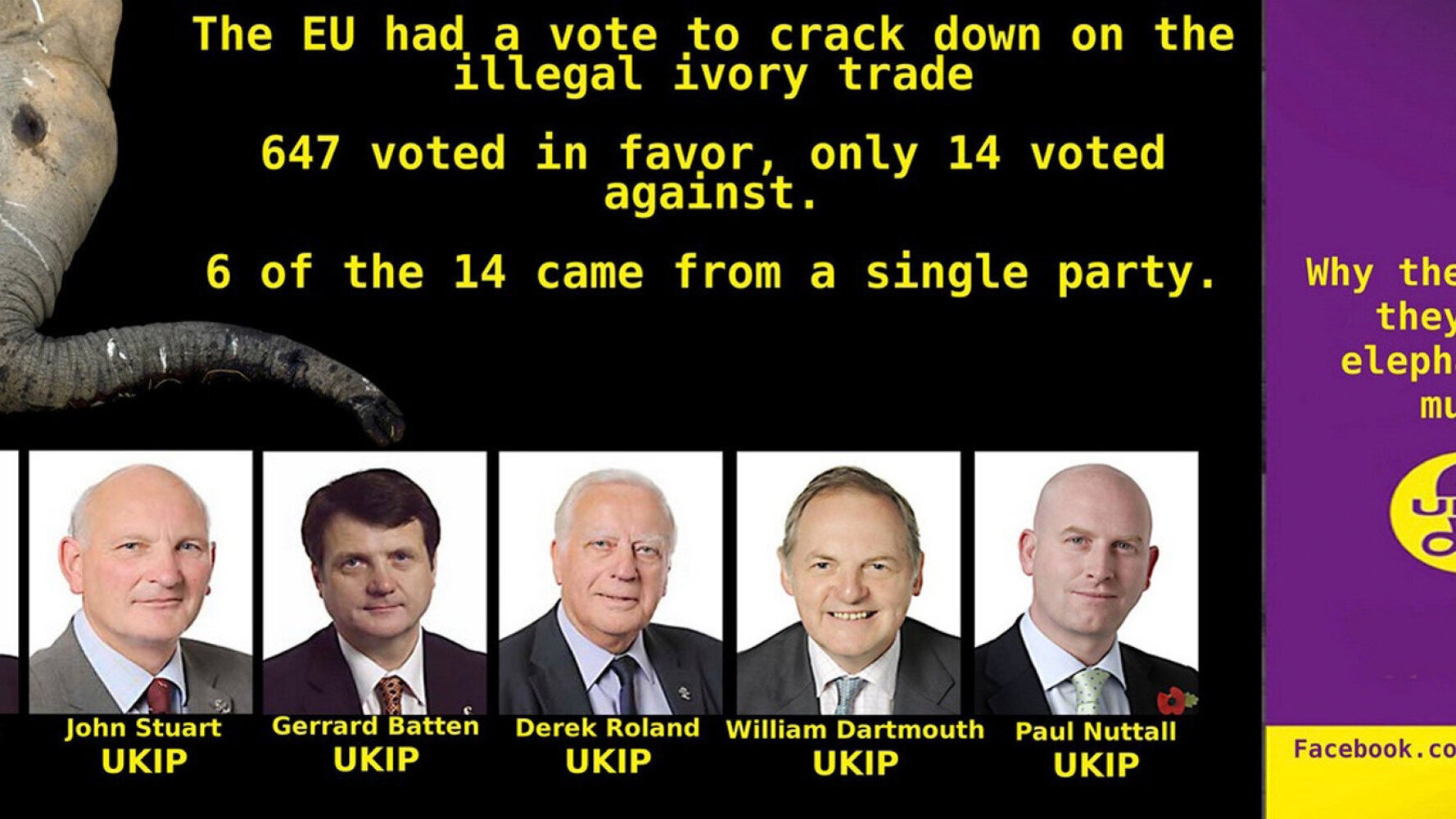 Ukip MEPs Voted Against Ivory Trade Clampdown In European Parliament ...