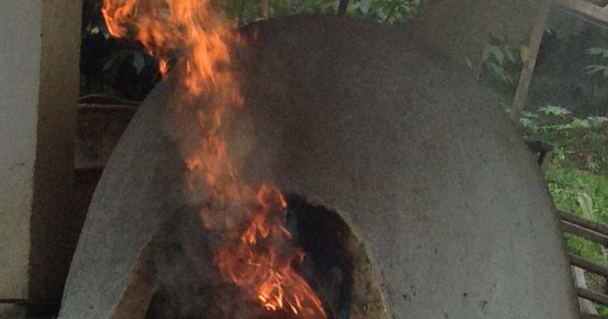 Flaming Giraffe Fights Its Way Out Of Oven In Bizarre Picture ...