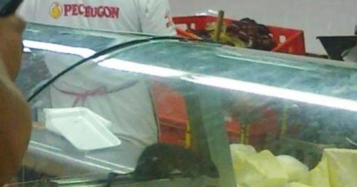 Picture Of Rat In Supermarket Deli Counter Goes Viral (PHOTO ...