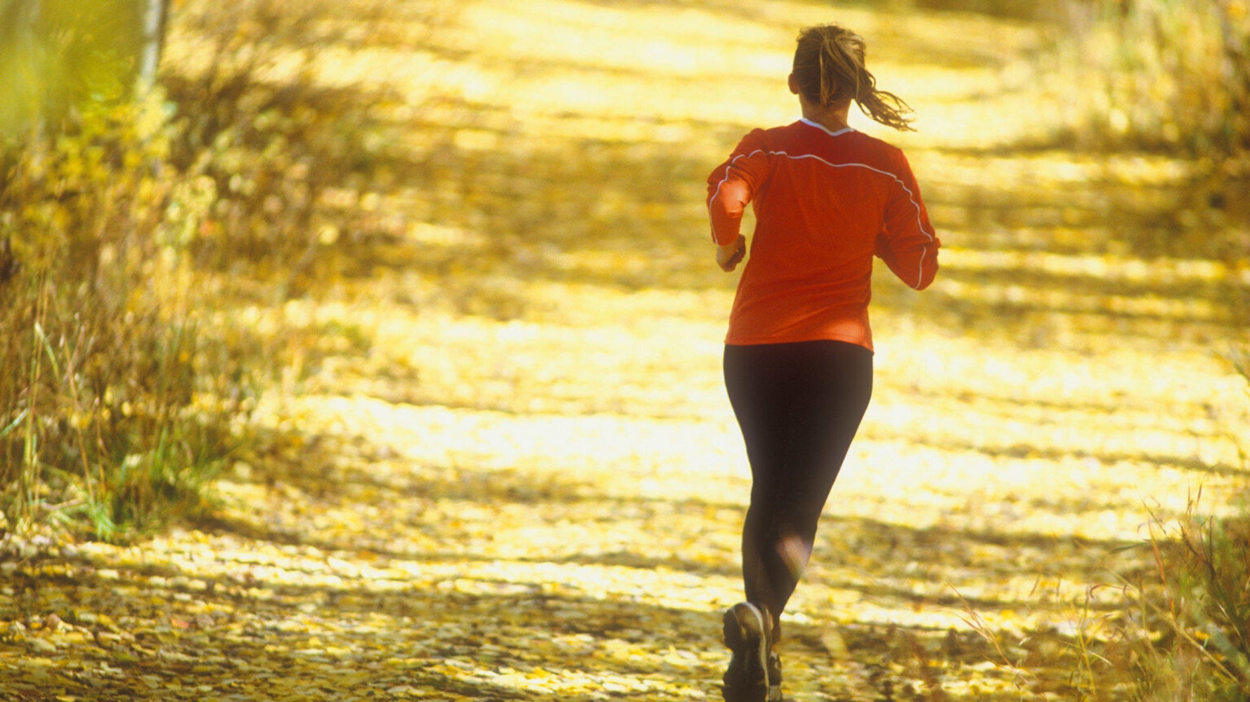 Unusual Exercises To Boost Your Autumn Fitness Routine (PICTURES ...