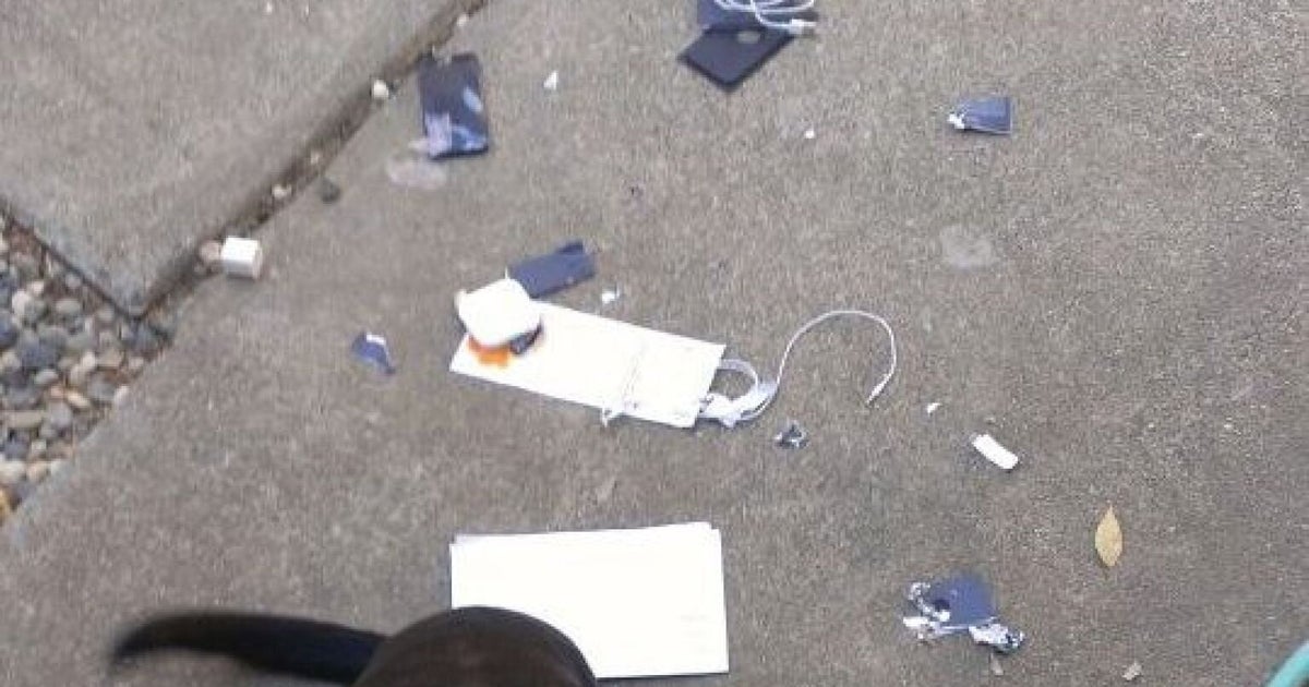 iPhone 5 Delivery Destroyed By Cute Puppy (PICTURES) | HuffPost UK Tech