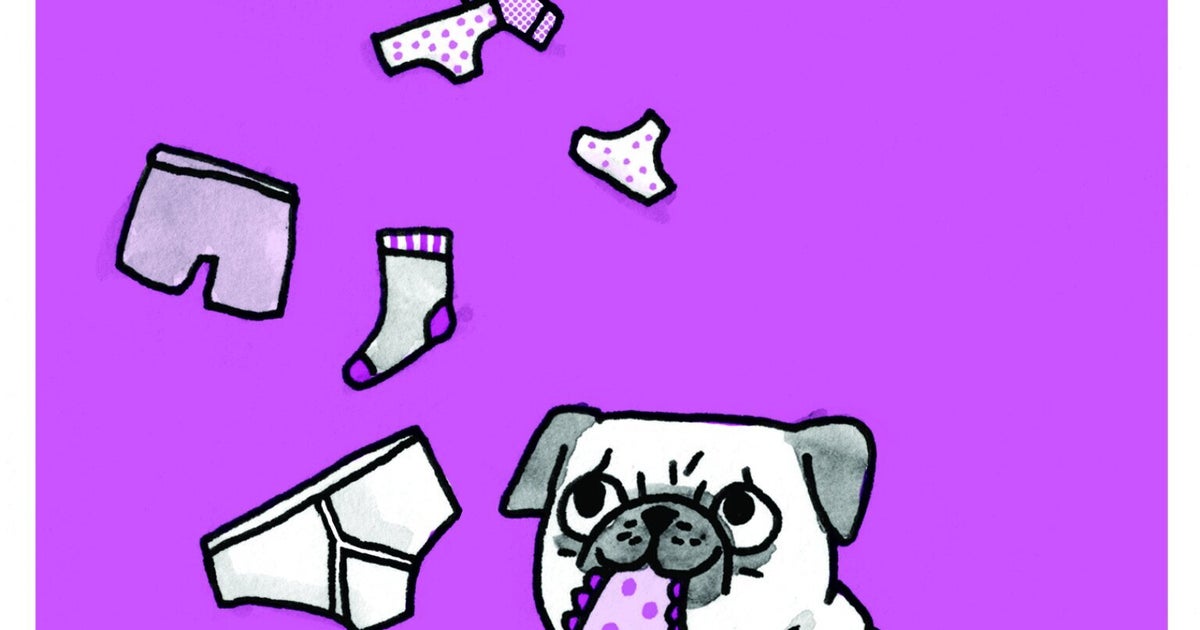 'A Pug's Guide to Etiquette' By Gemma Correll Gets Into The Mind Of ...