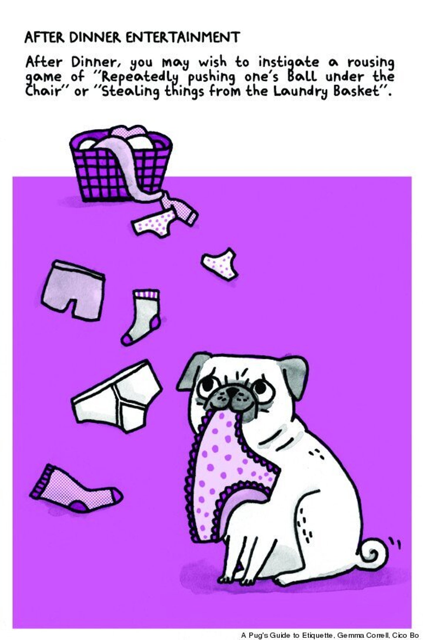 'A Pug's Guide to Etiquette' By Gemma Correll Gets Into The Mind Of ...