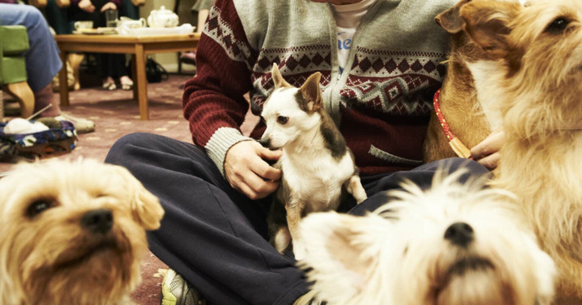 TV REVIEW: 'Ricky Gervais' In 'Derek' - Karl Pilkington In A Wig Made ...