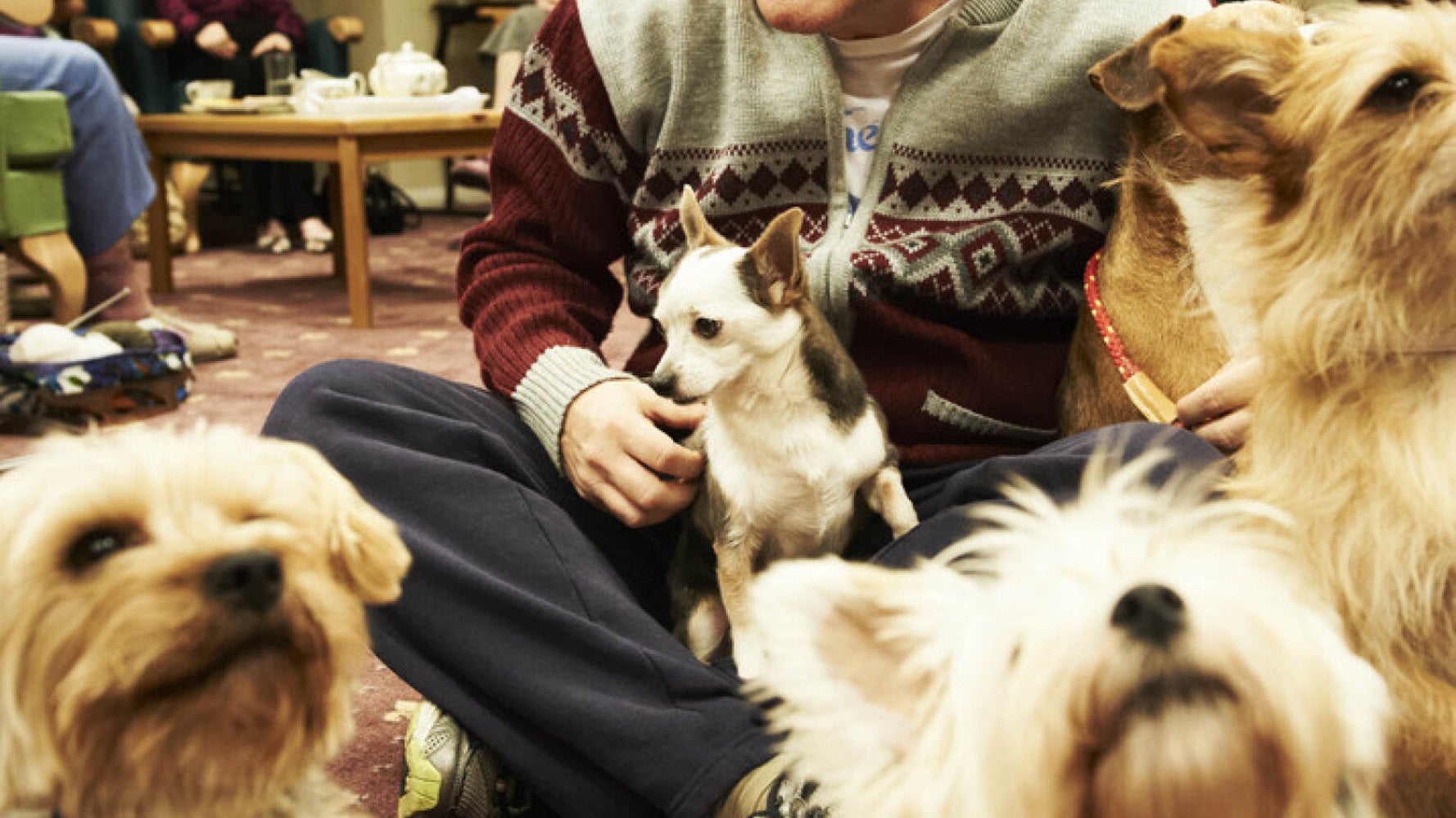 TV REVIEW: 'Ricky Gervais' In 'Derek' - Karl Pilkington In A Wig Made ...