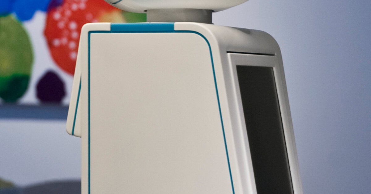 5 Time-Saving Domestic Robots For Homes Of The Future (PICTURES ...