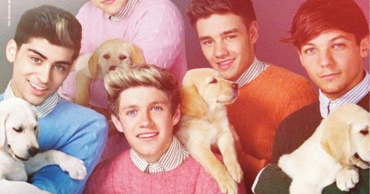 One Direction Cuddle Up To Labrador Puppies For Wonderland Magazine ...